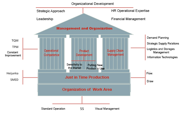 Operational Excellence and Shifting to ERP Systems